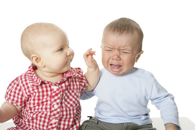 増資(MSワラント)完了後の株価はどうなるか？事例を基に検証する | コミュ障の生きる道